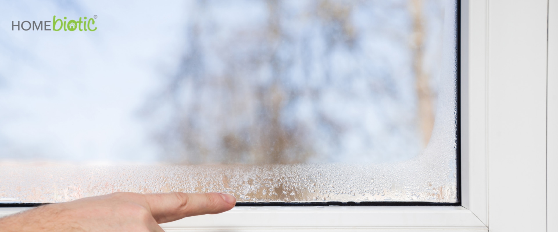 Using Dehumidifiers to Reduce Humidity Levels and Prevent Attic Mold Growth