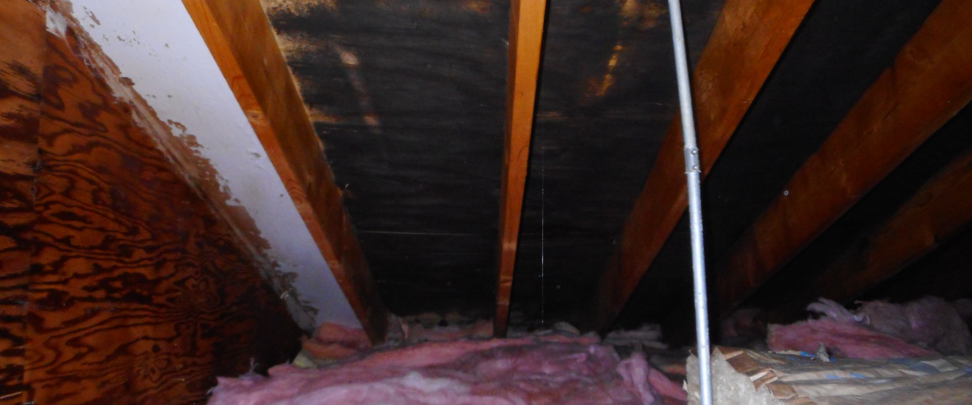 Air Circulation and Mold Growth