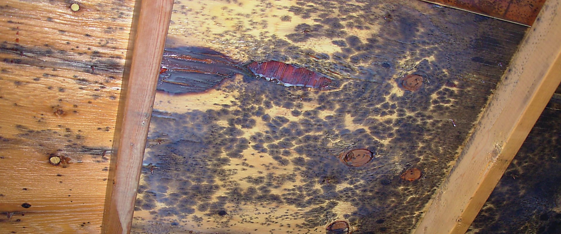 Attic Ventilation and Mold Growth